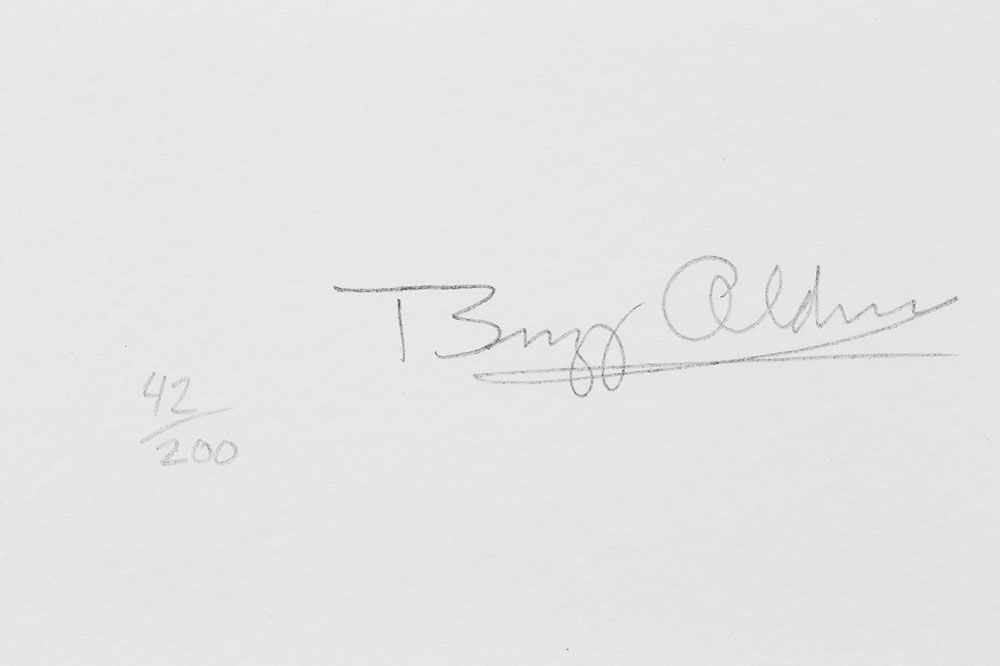 Apollo 11 Lithograph Set | RR Auction