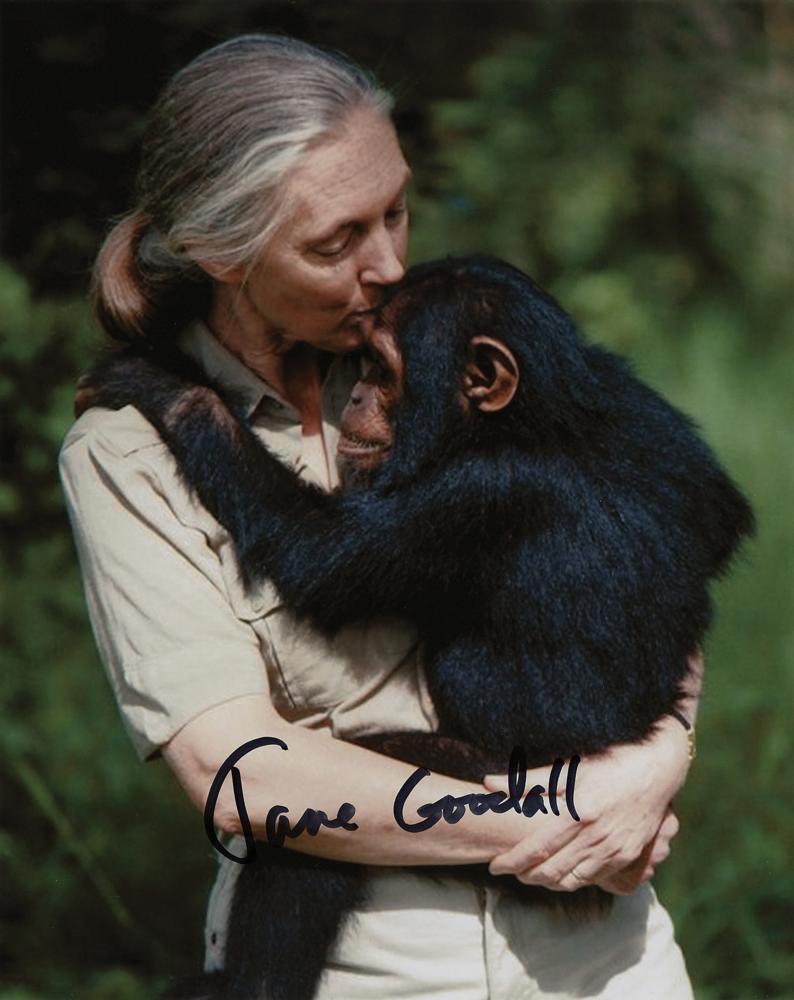 Jane Goodall Signed Photograph | RR Auction