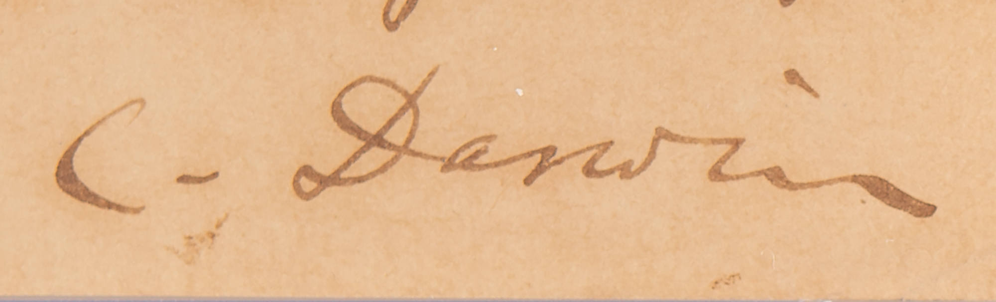 Charles Darwin Autograph Letter Signed on The Descent of Man: "My