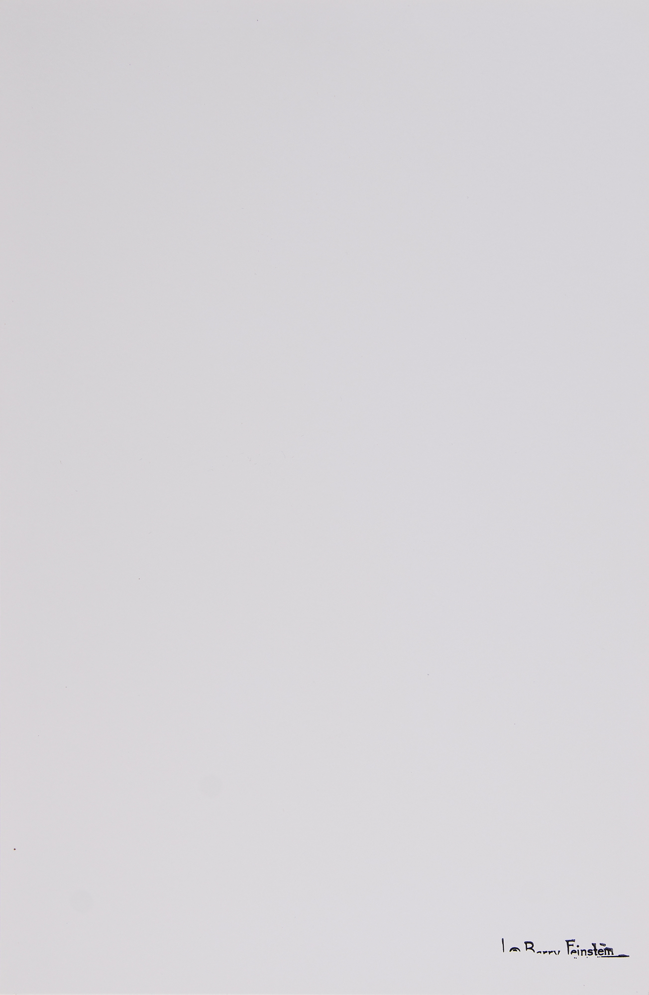 Bob Dylan Oversized Original Photograph by Barry Feinstein - 'Kids on