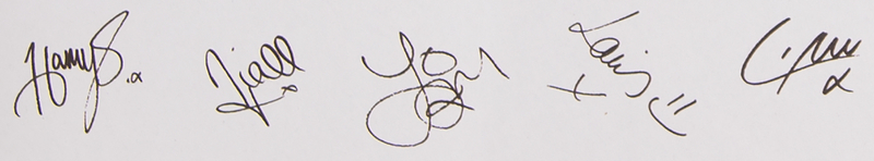 One Direction Signed Book - Dare to Dream | RR Auction